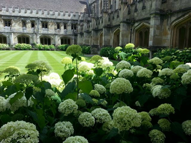 Description of academic work